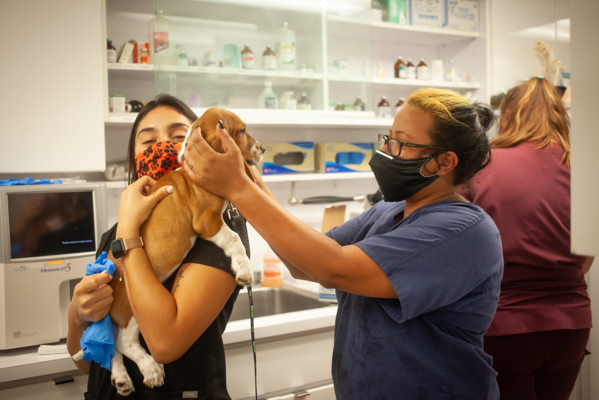 Meet the Staff | Dadeland Animal Hospital of Miami | Veterinary Care